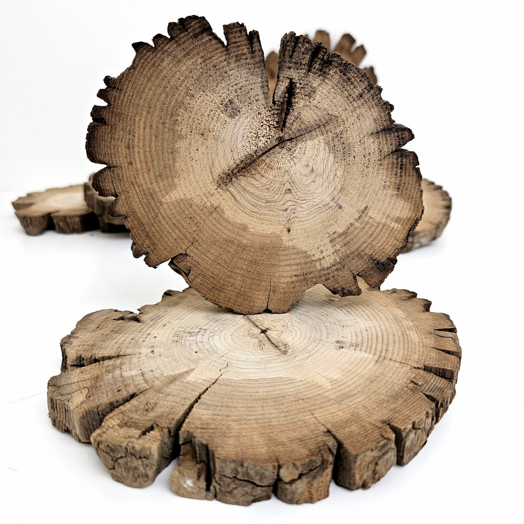 Driftwood Log Wood Slices Wood Rounds Large Coasters Epoxy Resin ...