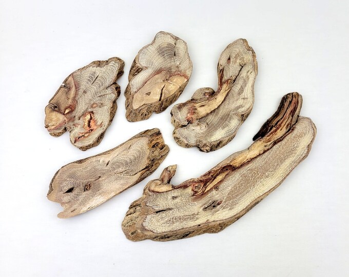 Live Edge Reclaimed Wood - Root Wood Slices for Crafts Epoxy Resin ...