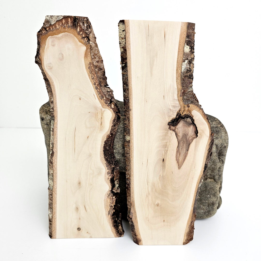 Small Birch Wood Planks Live Edge Rustic Boards, Sign Making Wood ...