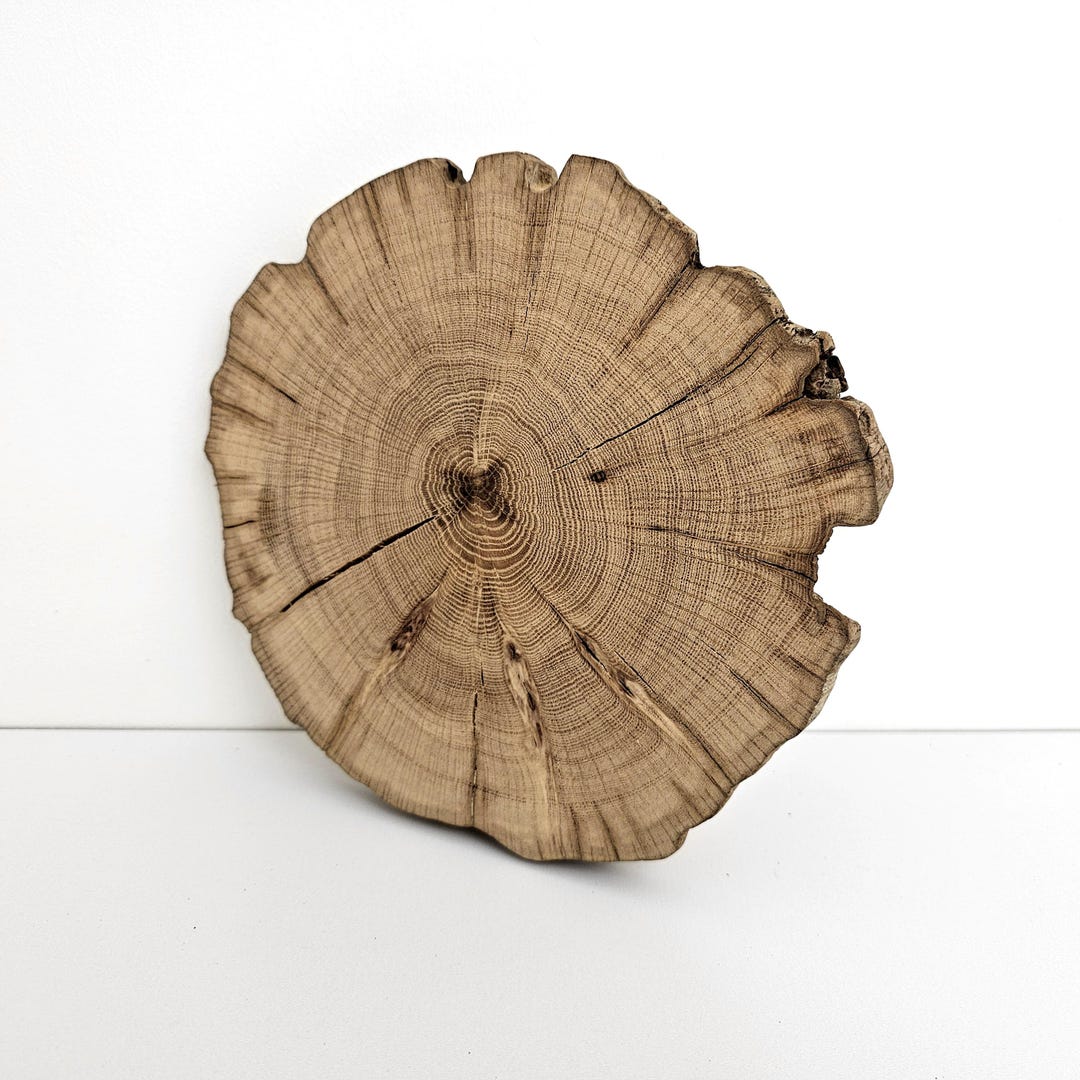 Live Edge Reclaimed Oak Wood Slab, 7 8inch Rustic Oak Tree Slice - Etsy