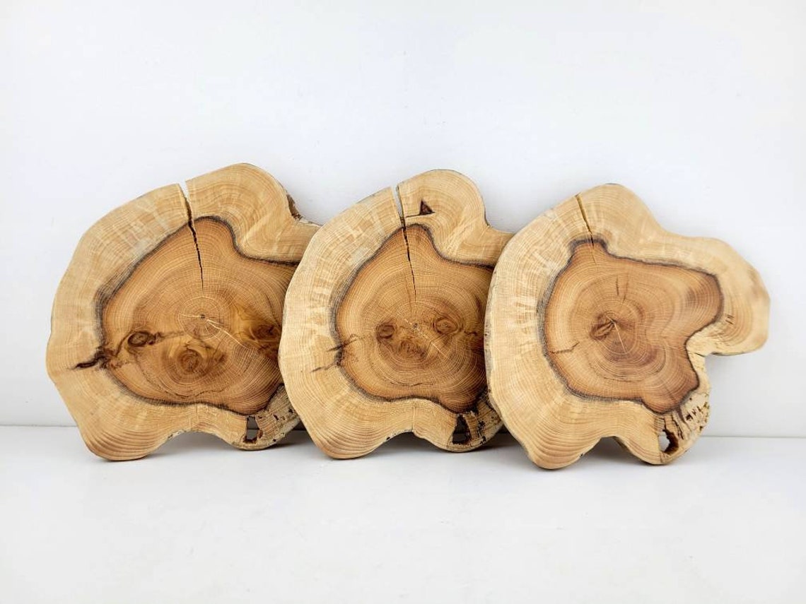 Yew Wood Slabs Yew Tree Slices Diy Crafts Wood Large Yew - Etsy