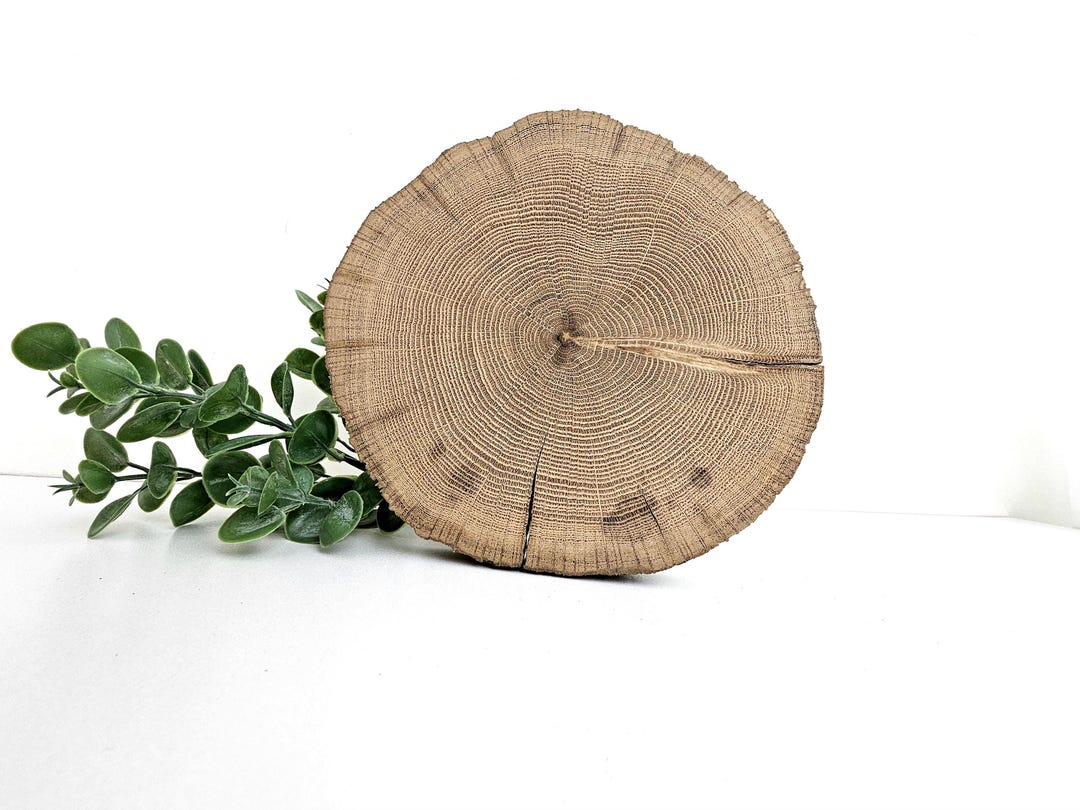 Rustic Wood Round, Reclaimed Oak Wood Slice, Tree Trunk Slab, Live Edge ...