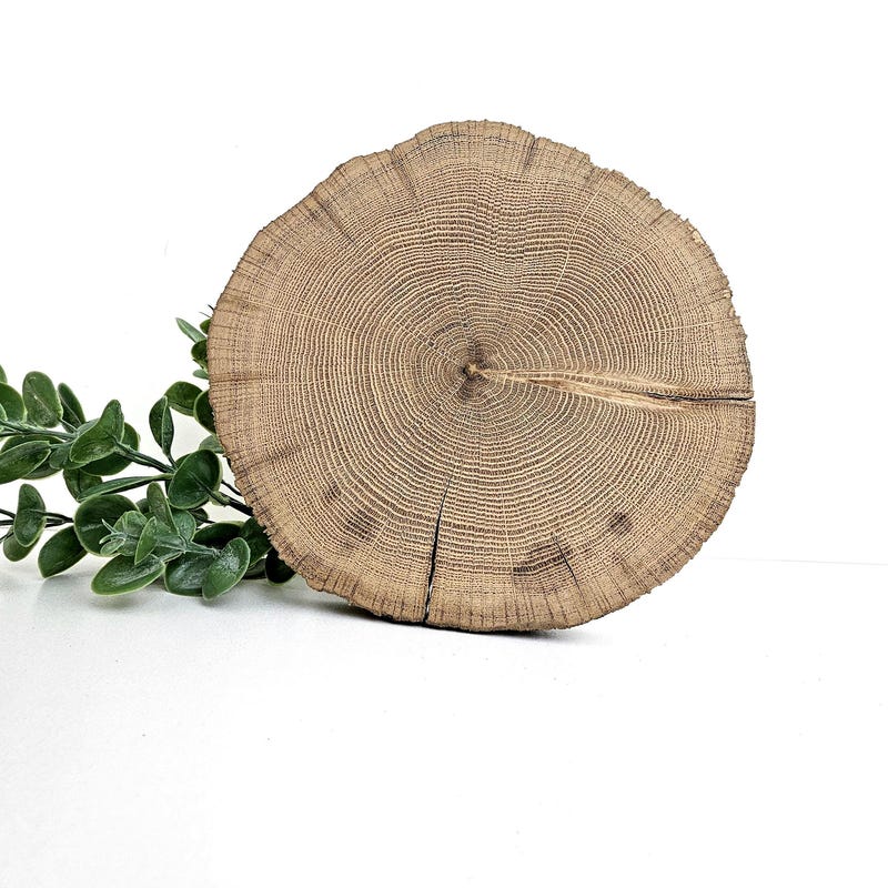 Irregular Wood Slice - Etsy