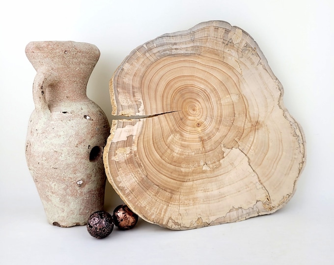 Cypress Wood Slab, Thin Cut Live Edge Wood Slice, Tree Round Slab - Etsy