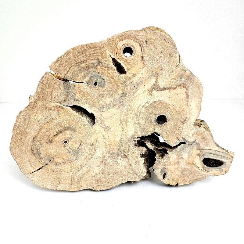 Elder Wood - Etsy