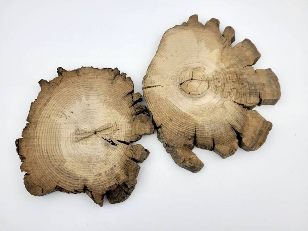 Driftwood Log Wood Slices Wood Rounds Large Coasters Epoxy Resin Wood ...
