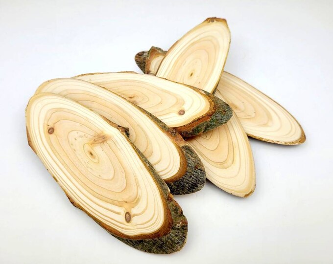 Natural Wood Oval Tree Slices Blank Oval Wood Slices for | Etsy