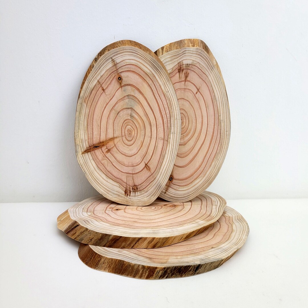 Natural Wood Oval Tree Slices Blank Oval Wood Slices for Crafts Sign ...