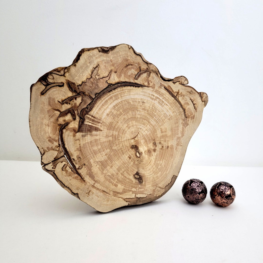 Wood Round Slab, Natural Beech Tree Slice, Wood Coaster, Centerpiece ...