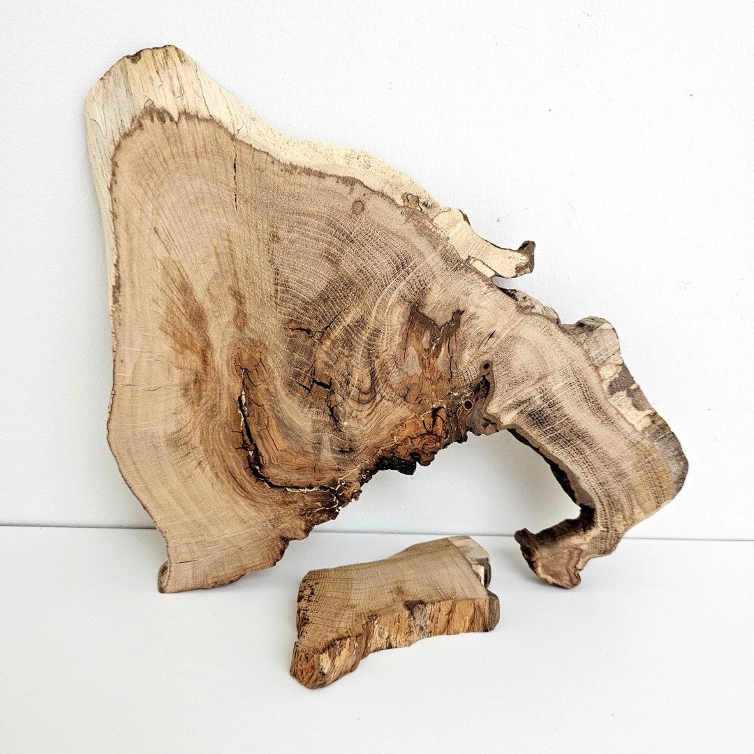 Natural Hollow Oak Wood Slab - Etsy