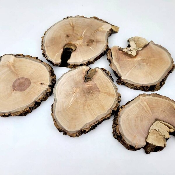 Irregular Wood Slice - Etsy