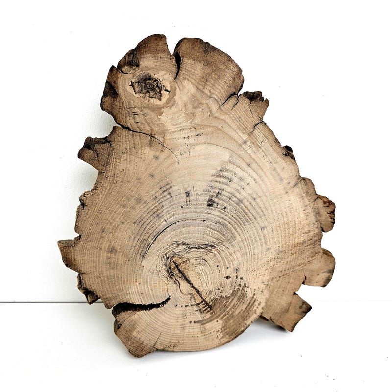 Irregular Wood Slice - Etsy