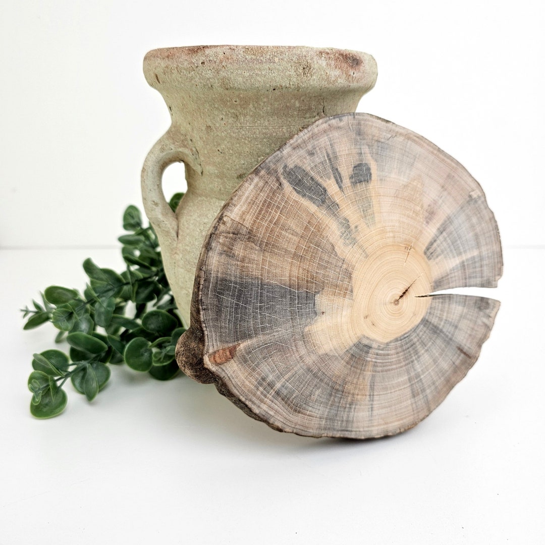 Weathered Wood Round Slab, Tree Slice Centerpiece - Etsy