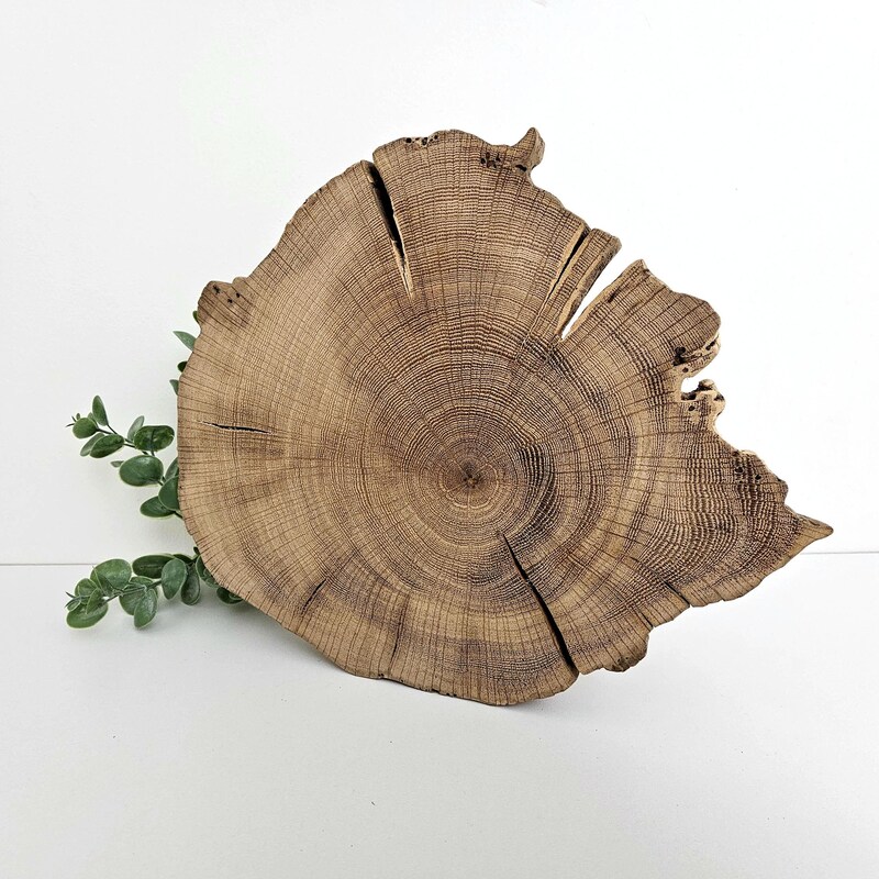 Wood Tree Slice - Etsy