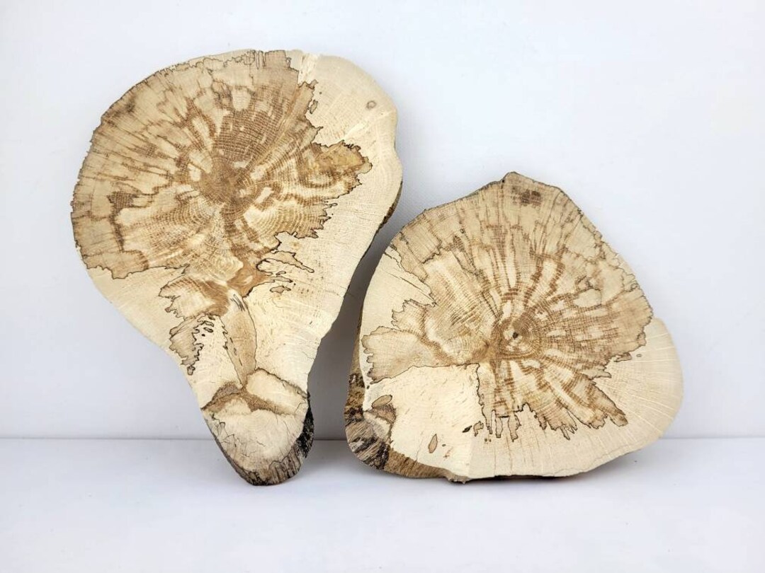 Spalted Oak Wood Slabs Irregular Shape Rustic Wood Slices 2-3pcs - Etsy