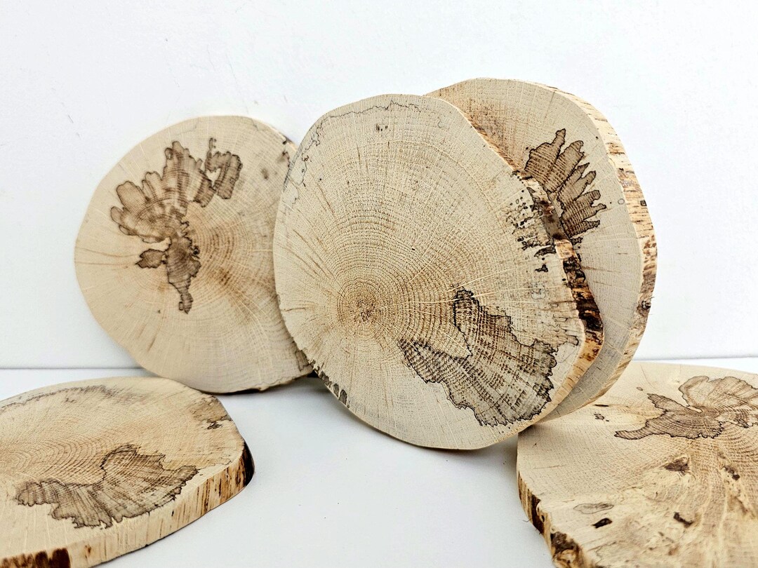 Spalted Oak Wood Slabs - Irregular Shape Rustic Wood Slices - 2-3pcs - Etsy