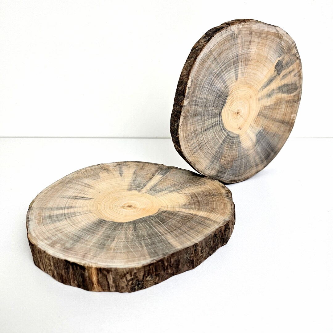 Weathered Wood Round Slab, Tree Slice Centerpiece, Live Edge Natural ...