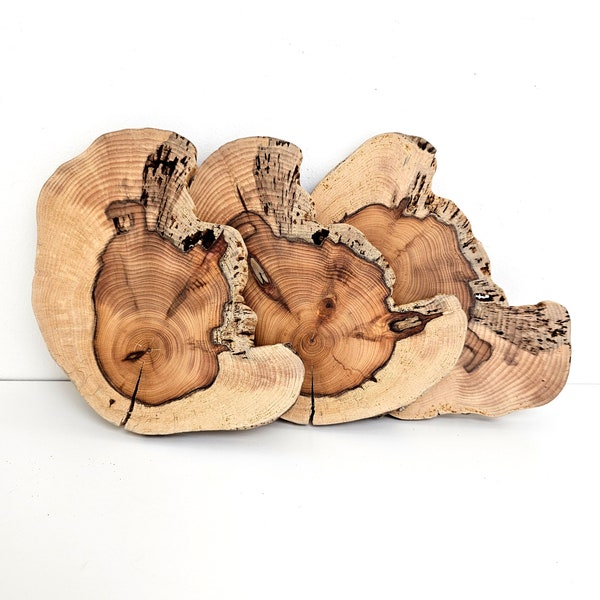 Irregular Wood Slice - Etsy
