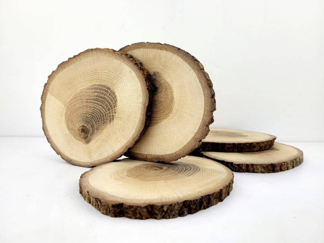 Natural Oak Tree Slices Surrounded With Bark 2pack - Etsy Australia