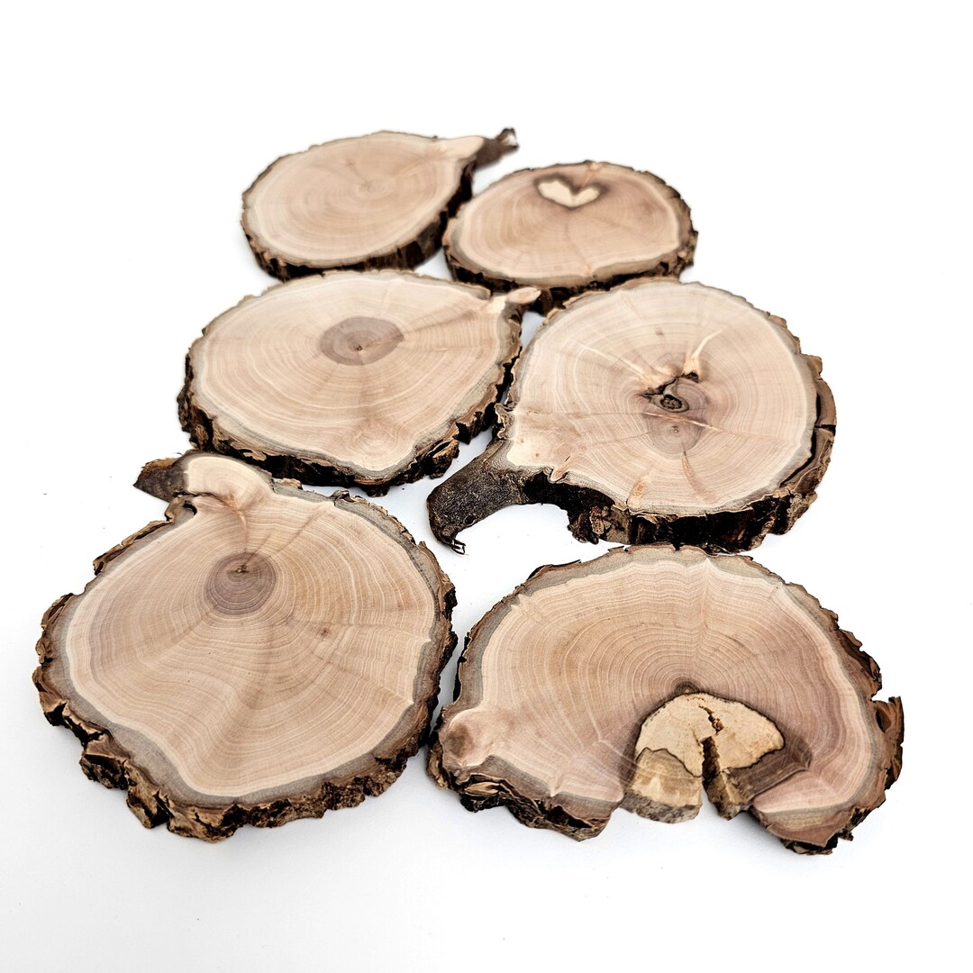 Plakken teruggewonnen boom, rustiek wilgenbast hout onregelmatige vorm ...