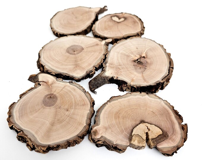 Reclaimed Tree Slices, Rustic Willow Bark Wood Irregular Shape ...