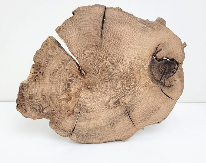 Live Edge Reclaimed Solid Oak Wood Slab 10inch | Irregular Shaped Large ...