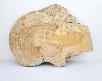 Live Edge Wood Slab - Etsy