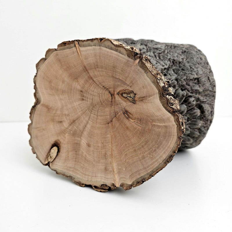 DaliasWoodland - Etsy