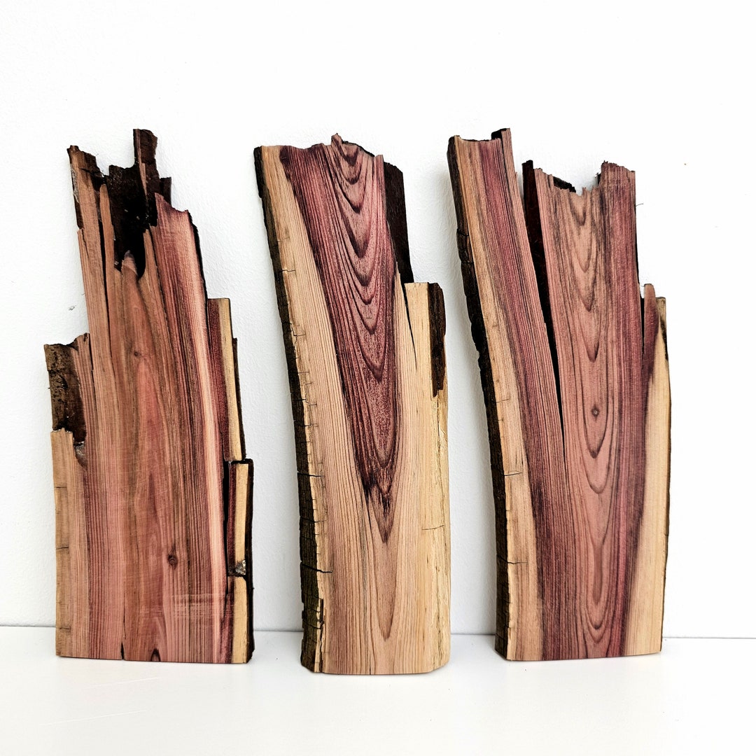 Mini Raw Wood Planks Mini Red Cedar Planks for DIY Crafts Woodworking ...