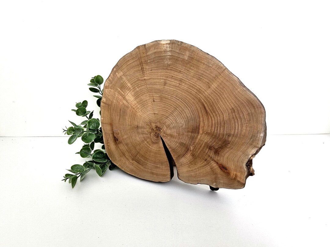Round Natural Wood Slab Large Tree Slice, Rustic Centerpiece Wood Craft ...