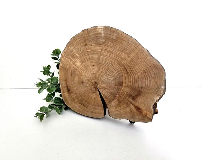 Round Natural Wood Slab Large Tree Slice, Rustic Centerpiece Wood Craft ...