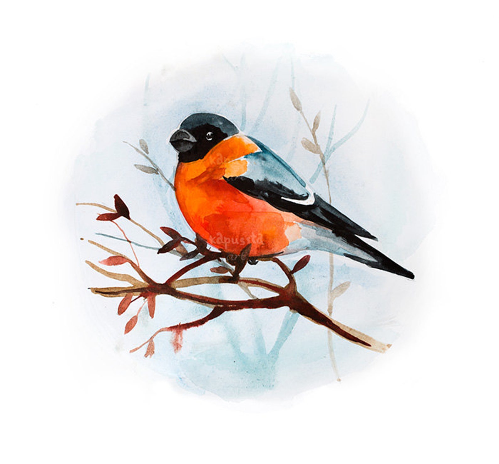 Bullfinch Bird on Branch Digital Download Art Printable, Blue and Red ...
