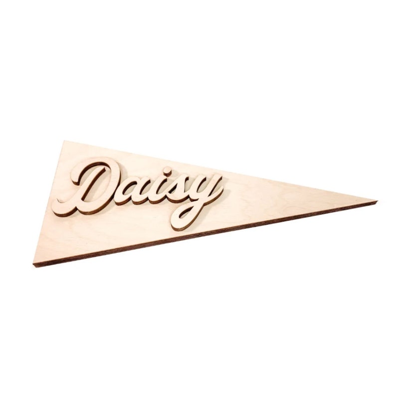 Large Pennants - Etsy