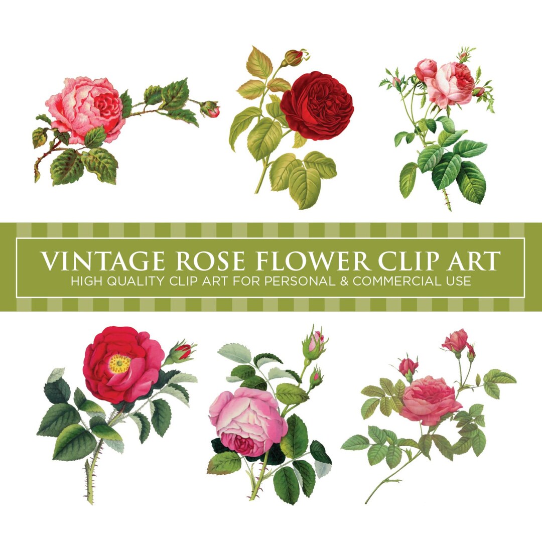 VINTAGE ROSE FLOWERS X 6 pack No. 4 Floral Digital Clip Art Graphics ...