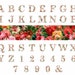FLORAL LETTERS & NUMBERS Digital Flower Fonts Clip Art | Etsy