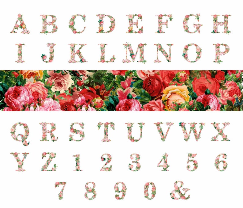 FLORAL LETTERS & NUMBERS Digital Flower Fonts Clip Art Graphics for ...
