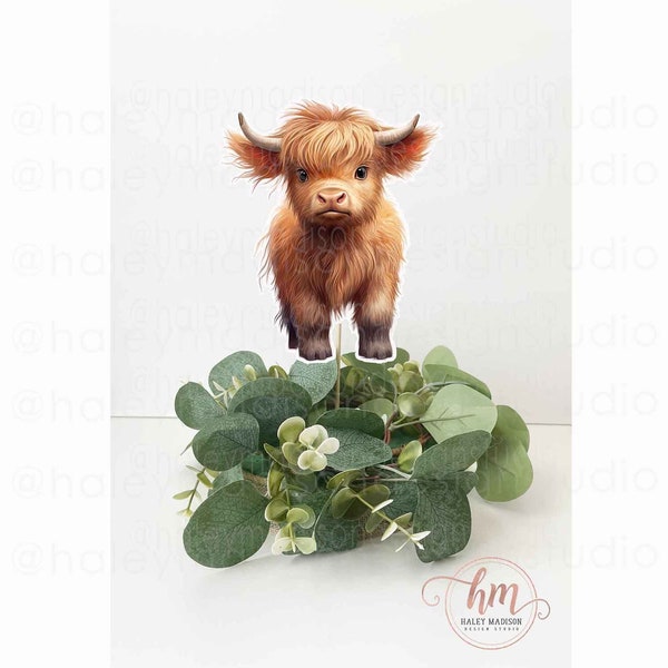 Baby Shower Decorations With Highland Cows - Etsy