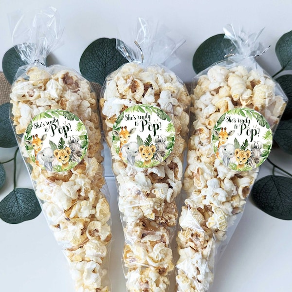 Baby Shower Popcorn Kit - Etsy
