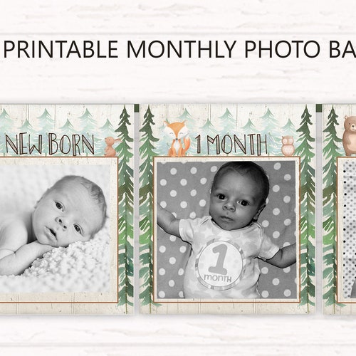 Woodland Photo Banner Fits 4x4 Photos First Year Picture - Etsy