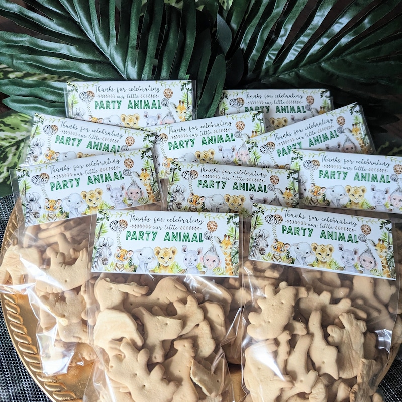 Jungle Safari Party Bag - Etsy