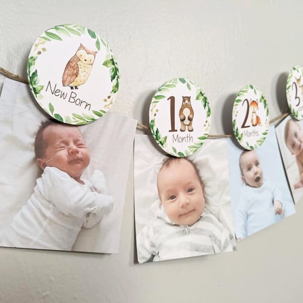 12 Month Banner - Etsy