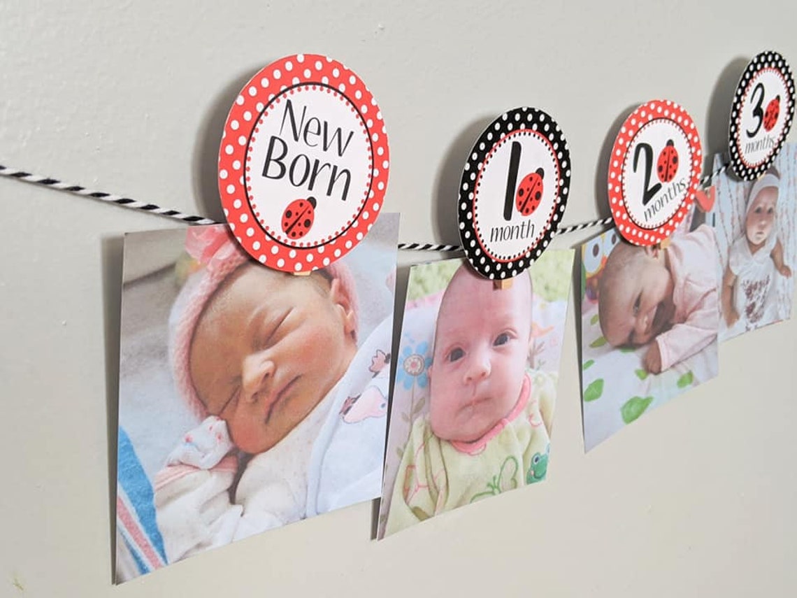 Ladybug Monthly Photo Banner Ladybug First Birthday Photo - Etsy