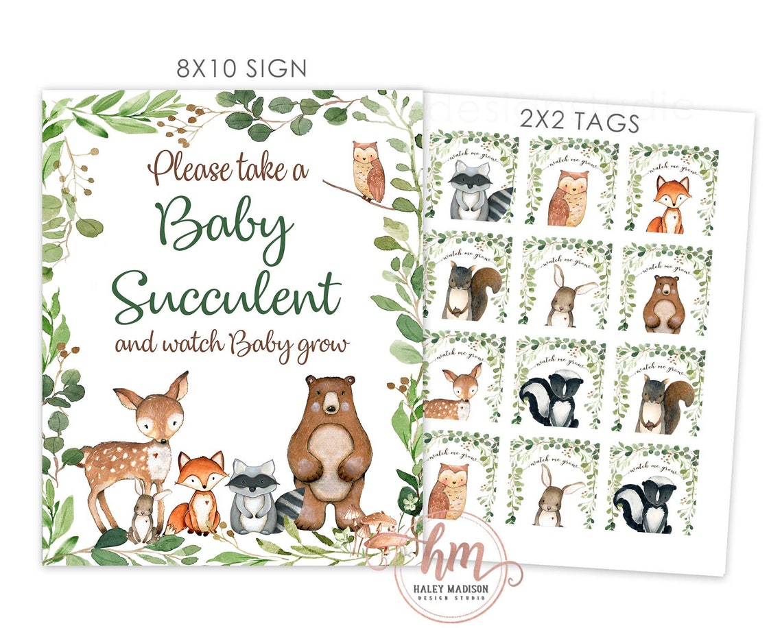 PRINTABLE Woodland Baby Succulent Favor Sign Baby Succulent - Etsy