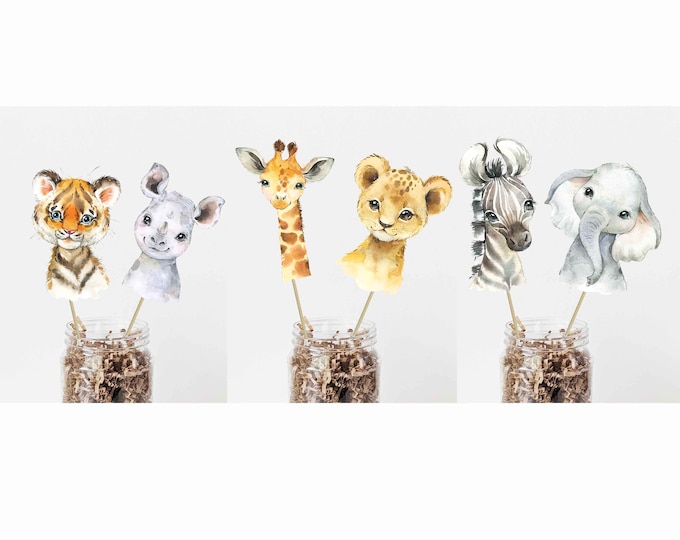 Jungle Safari Baby Shower Decorations Boy Girl, Girl Boy Safari Jungle ...