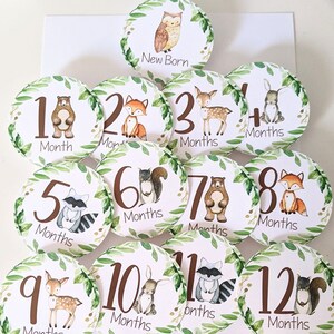 Woodland 12 Month Photo Banner, Woodland First Birthday Photo Banner ...