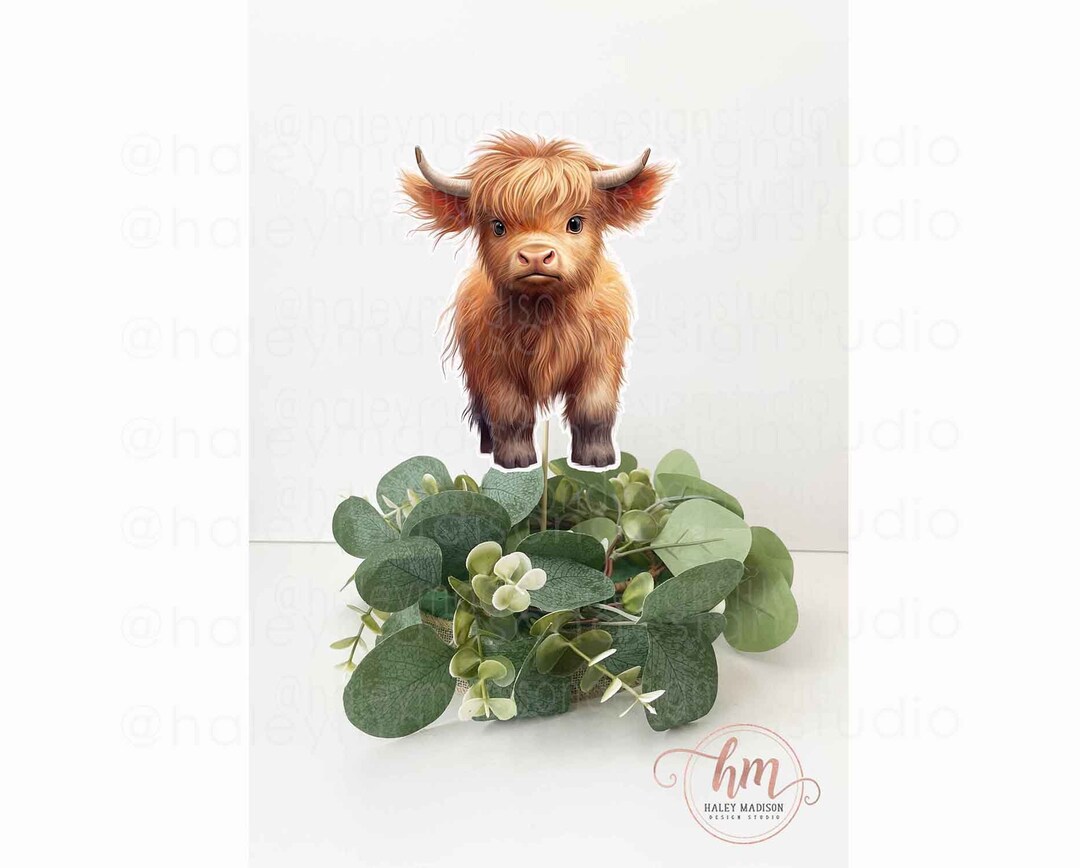 Highland Cow Centerpieces, Highland Cows Baby Shower Decoration, Farm ...