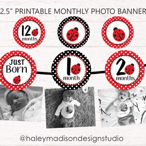 Ladybug First Birthday Photo Banner, Ladybug Monthly Photo Banner, New ...