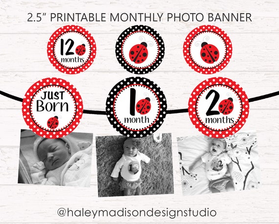 Ladybug First Birthday Photo Banner Ladybug Monthly Photo | Etsy