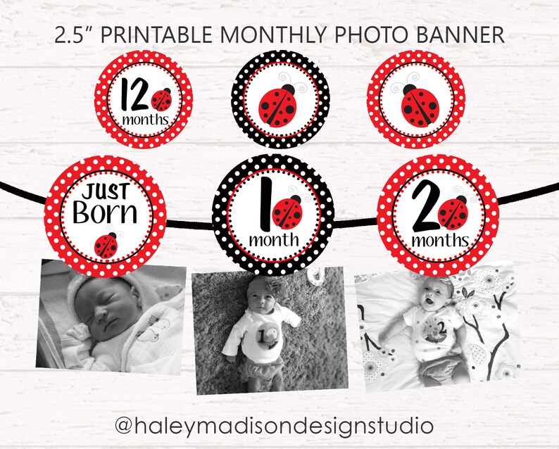 Ladybug First Birthday Photo Banner, Ladybug Monthly Photo Banner, New ...