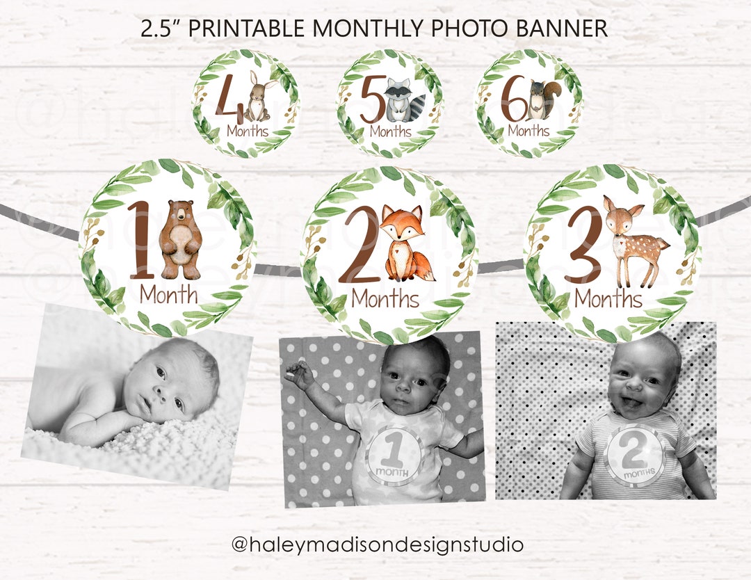 PRINTABLE Woodland 12 Month Photo Banner, Woodland First Birthday Photo ...